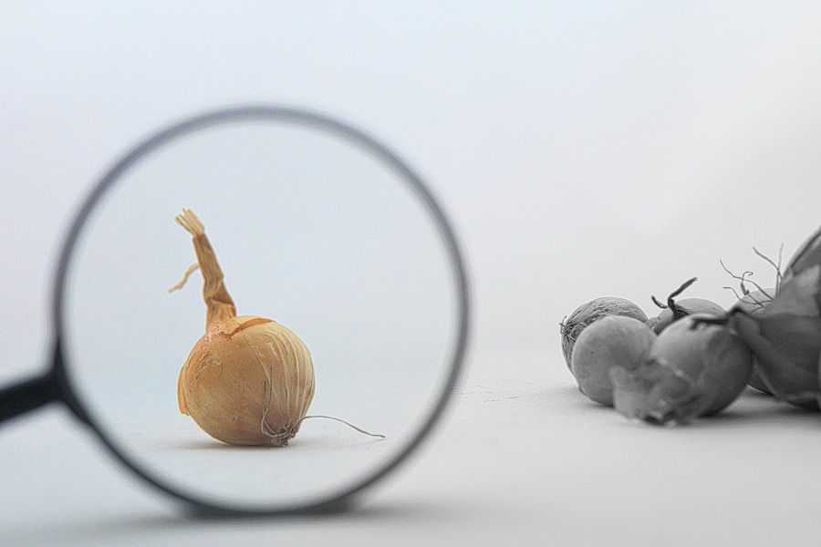 Quality Assurance 101: Understanding the Significance of Sample ...